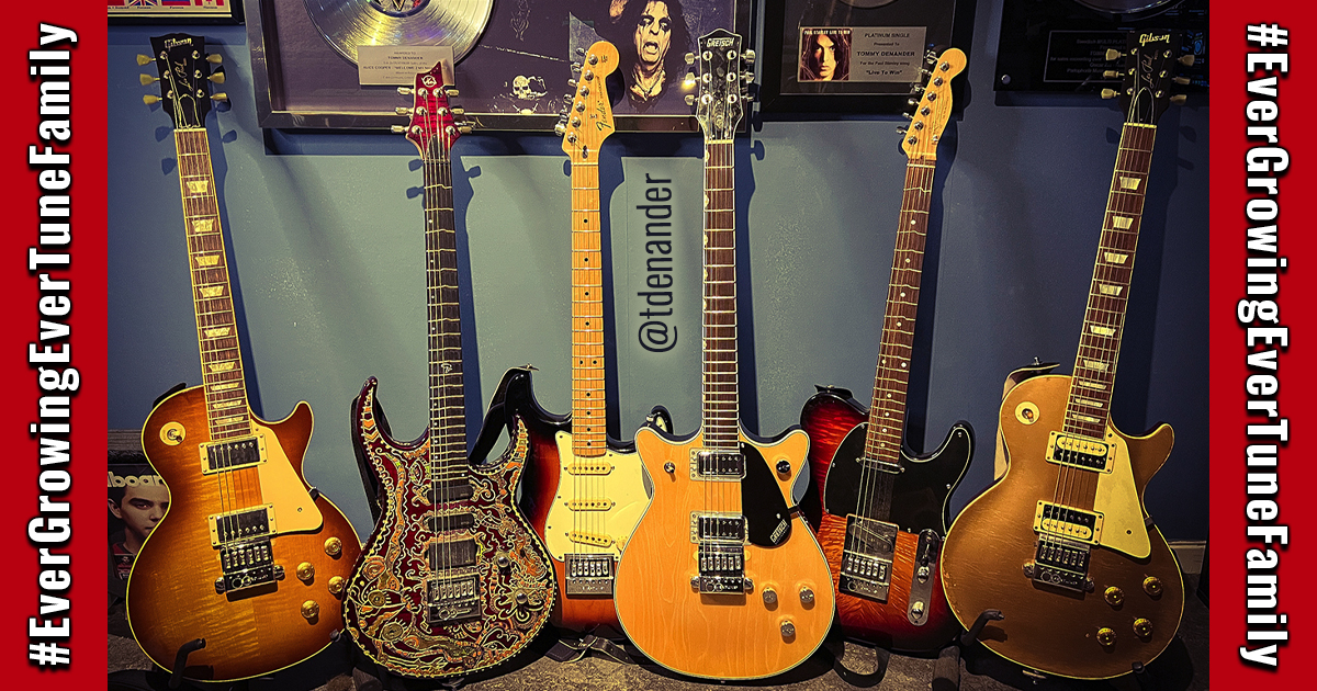 EverGrowing EverTune Family • EverTune Guitar Gallery